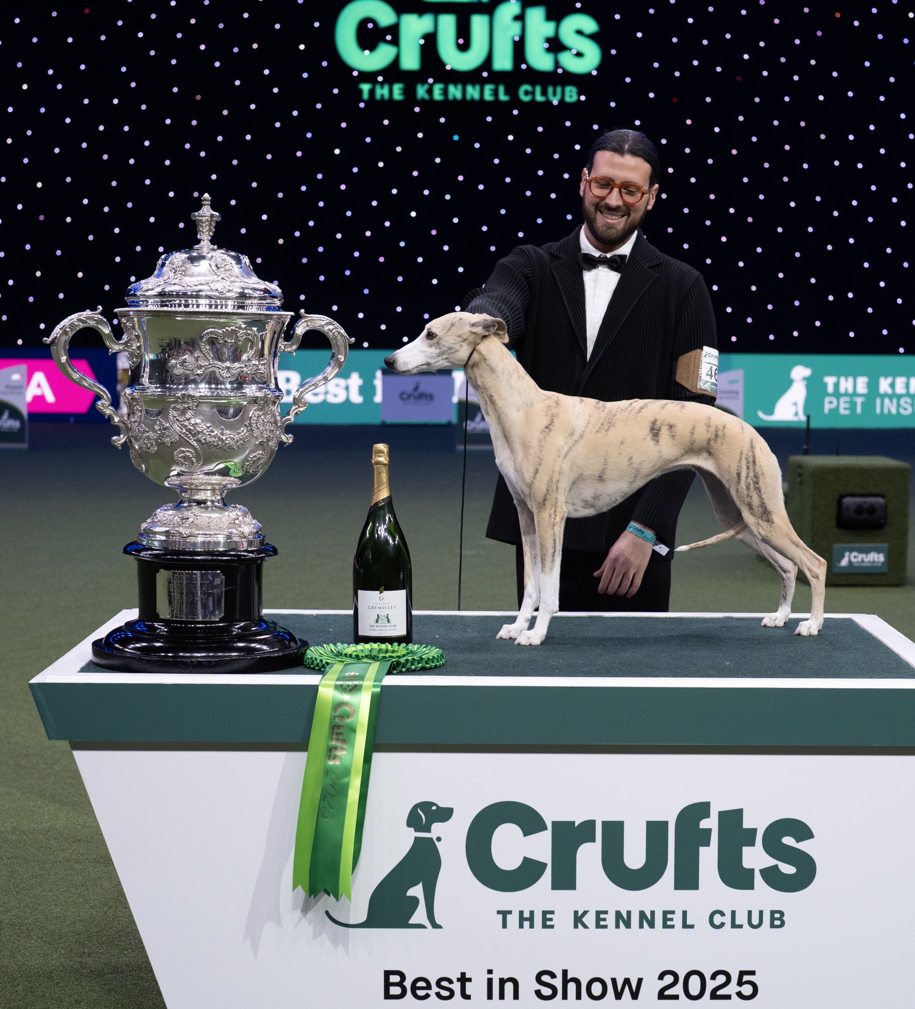 Crufts 2025: Best in Show winner confirmed and the best photos from the ...
