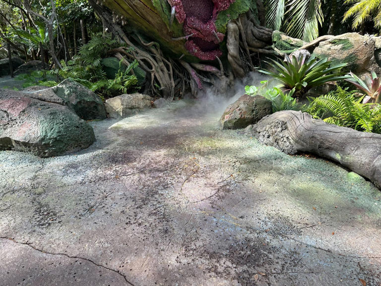 PHOTOS: More Repainted Bioluminescent Paths Reopen to Guests in Pandora ...