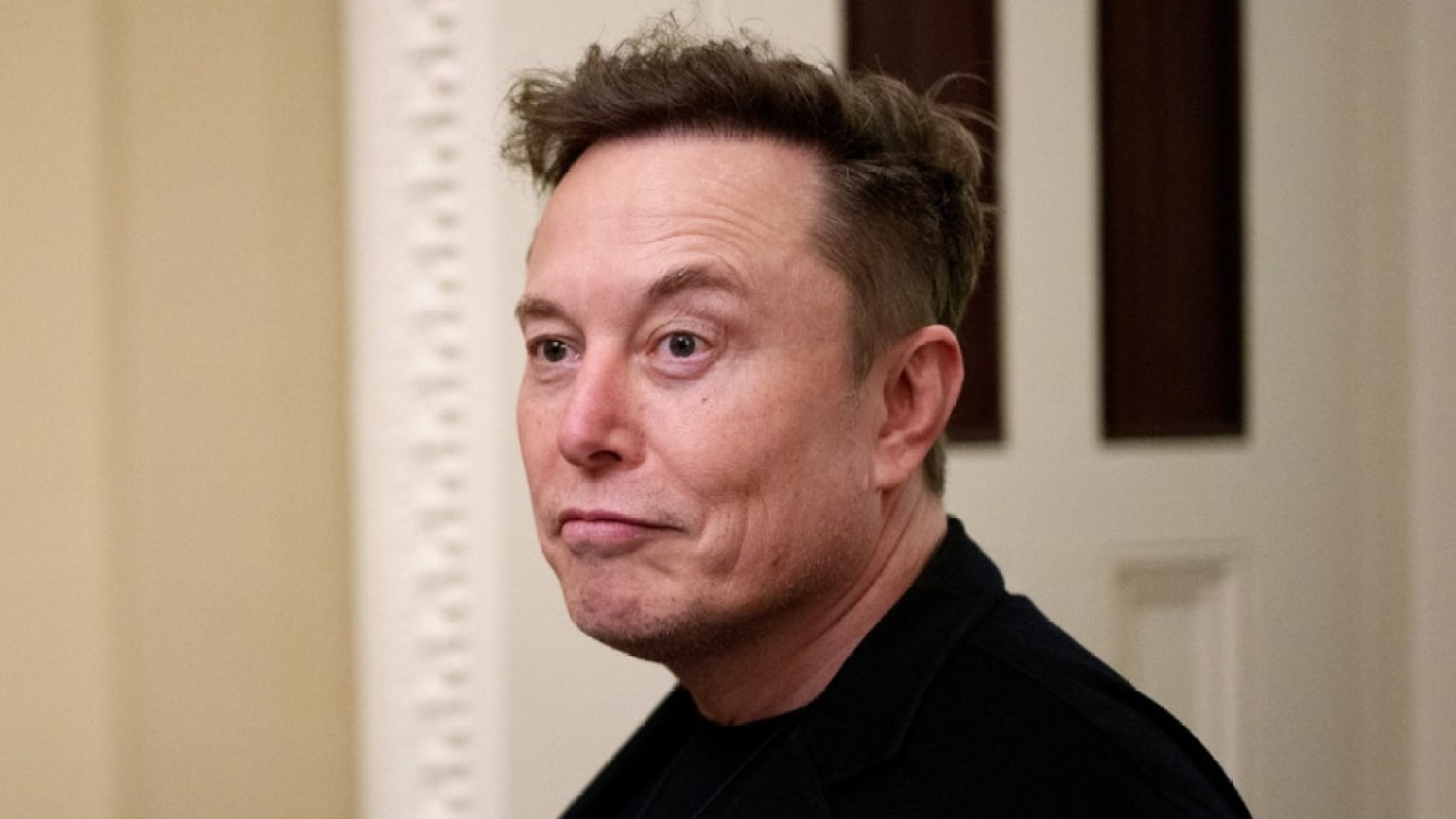 Is Musk here to stay? This reporter thinks so due to what he offers in ...