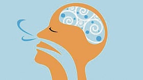 The Power of Slow Breathing