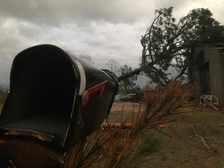 GALLERY: Severe weather damage across central Alabama