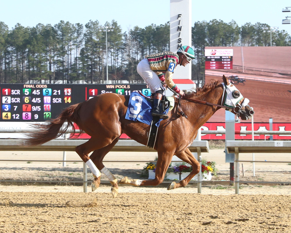 American Promise Romps To Virginia Derby Win In Track Record Time