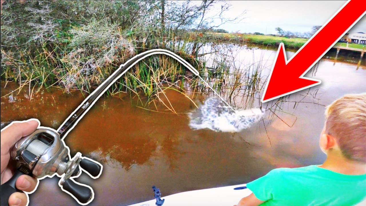 We hooked a strange bayou creature and ended up eating it