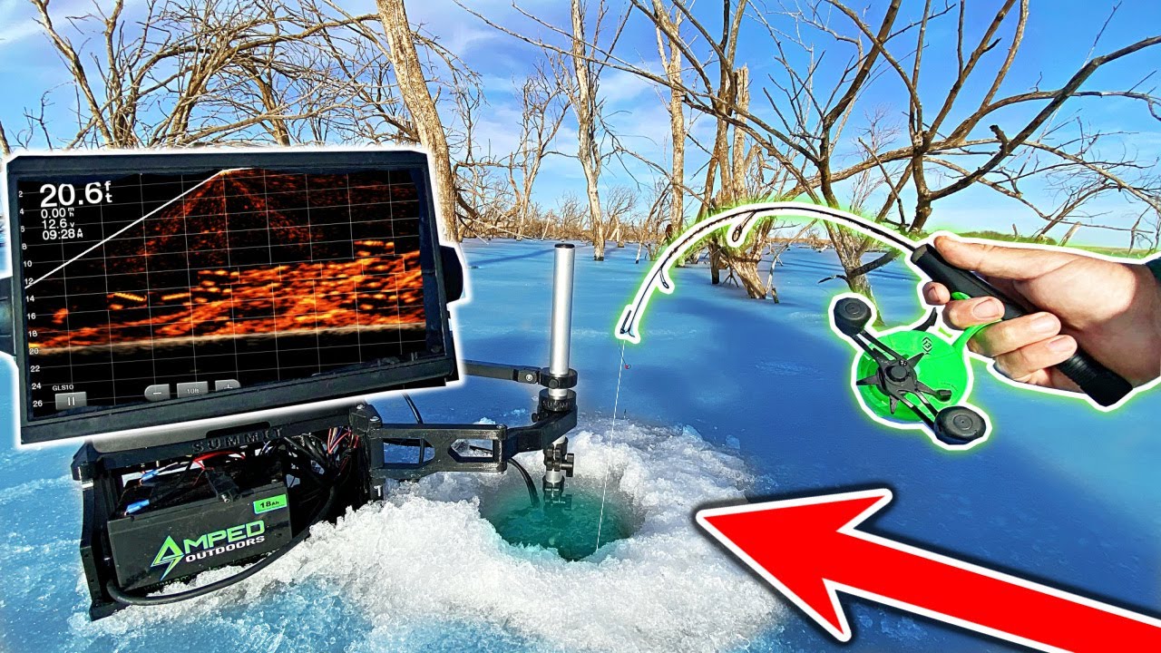 I could not believe what was hiding in underwater forest