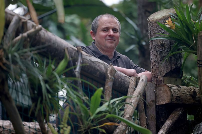 'Magical' Welsh attraction in a pyramid which almost closed and ...