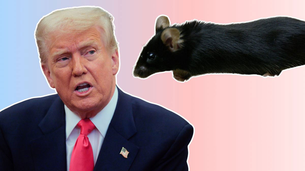 Breaking down Trump's claim the government spent millions on 'making ... Breaking down Trump's claim the government spent millions on 'making ...