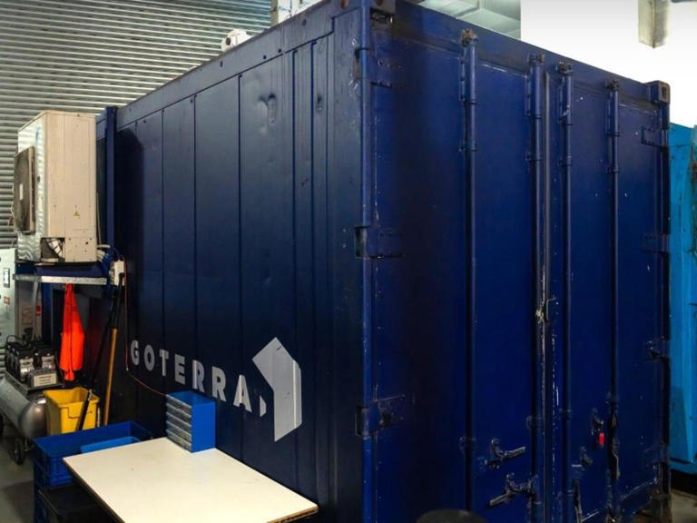 City turns to worm-like bugs in waste ‘war’