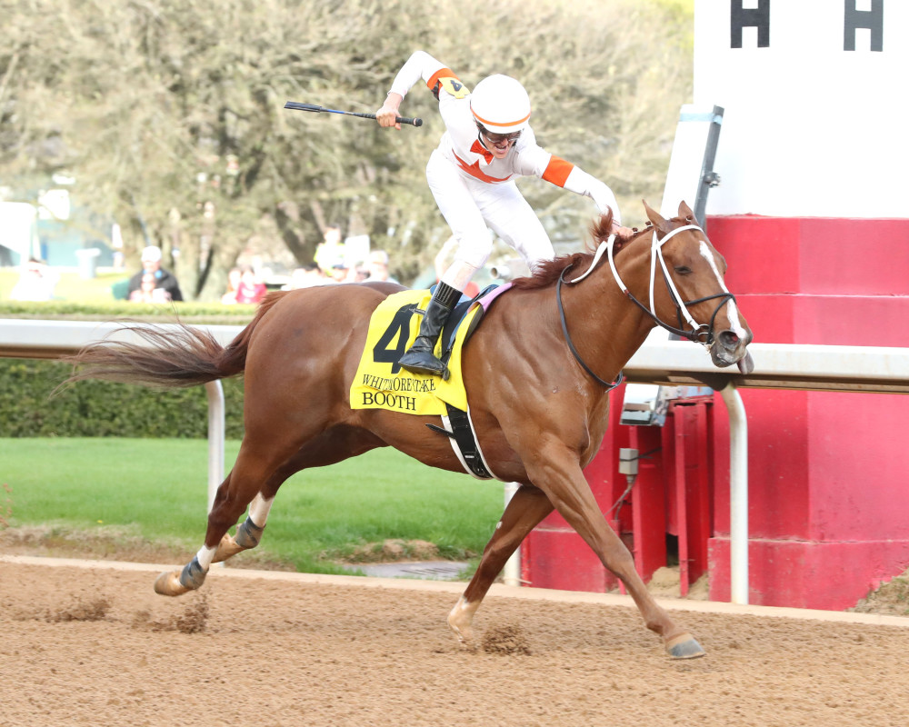 Connections Hope Booth Can Follow Mitole's Hoofprints In Count Fleet