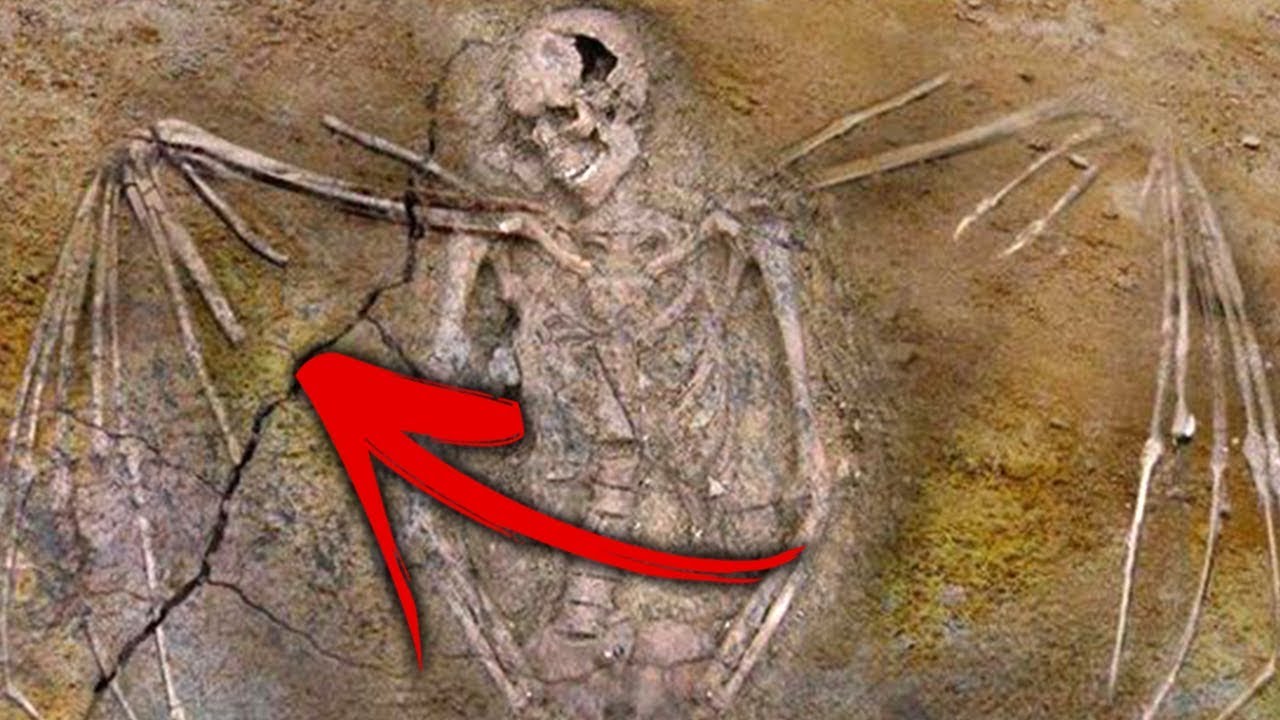 Epic Reactions - MSN