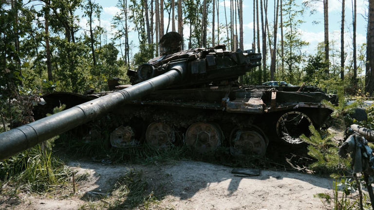 Trump's Ukraine ceasefire plan and Putin's skepticism