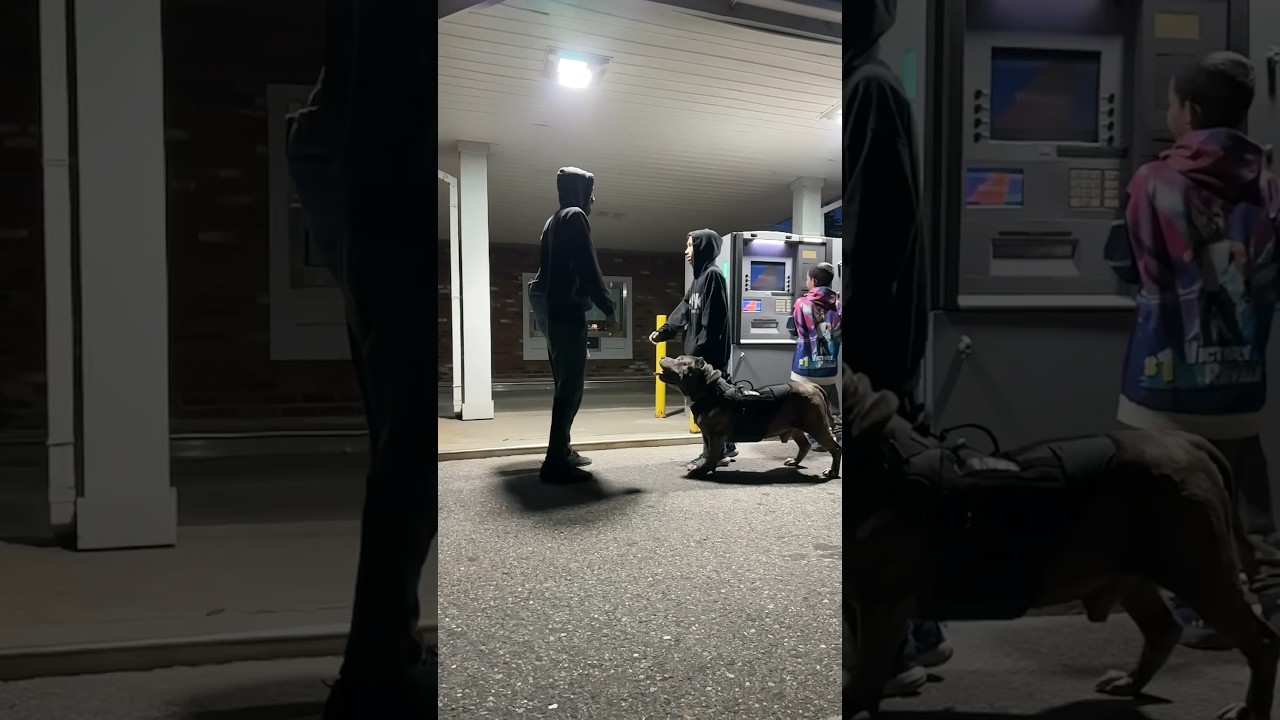 Old dog still nails perfect timing in ATM exercise