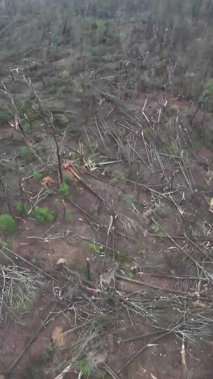 Check power outages after severe storms hit Alabama