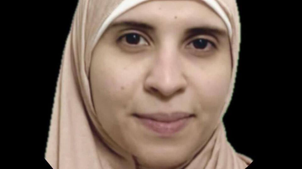 Who is Rasha Alawieh? All about Brown professor held at Boston airport ...