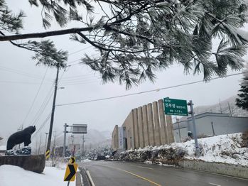 Springtime cold snap brings snow, rain and wind to most of Korea