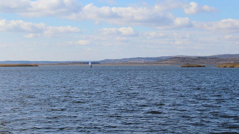Telangana: Ancient Mudumal megalithic menhirs enter UNESCO’s Tentative ...