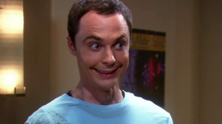 The Most Pause-Worthy Moments In The Big Bang Theory