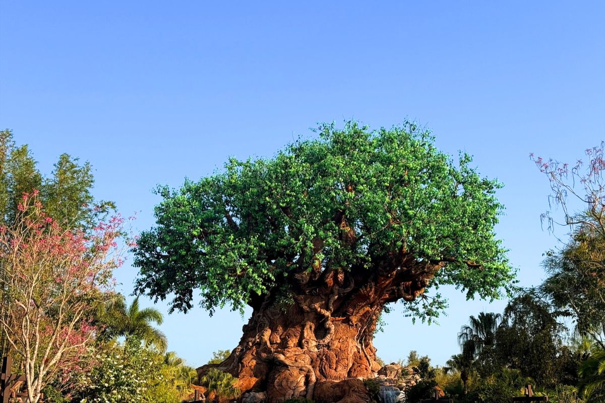 20 Gentle Rides At Disney World