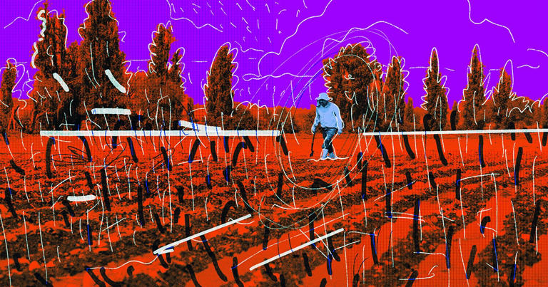 The Biggest Technological Development in Human History Happened All ...