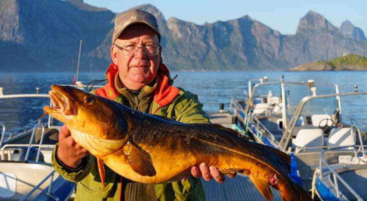 Maximum Social Security in America will reach a record $5,108/month in ...