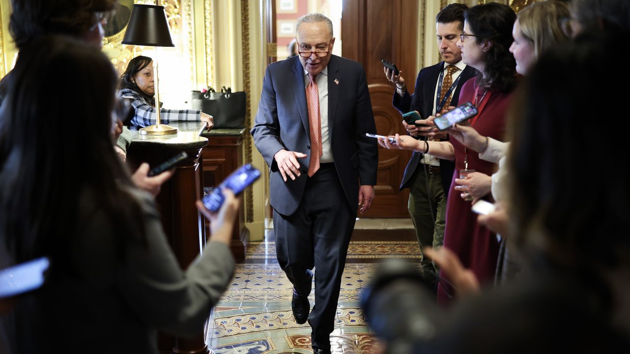 Dems sour on Schumer but divided over his fate as leader