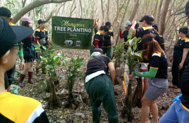 600 seedlings planted in Noveleta's mangrove
