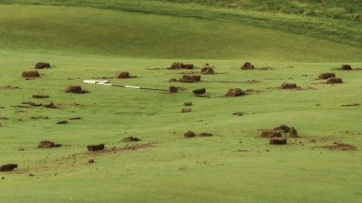 'Wow' - Photo Of President Trump's Damaged Golf Course Goes Viral