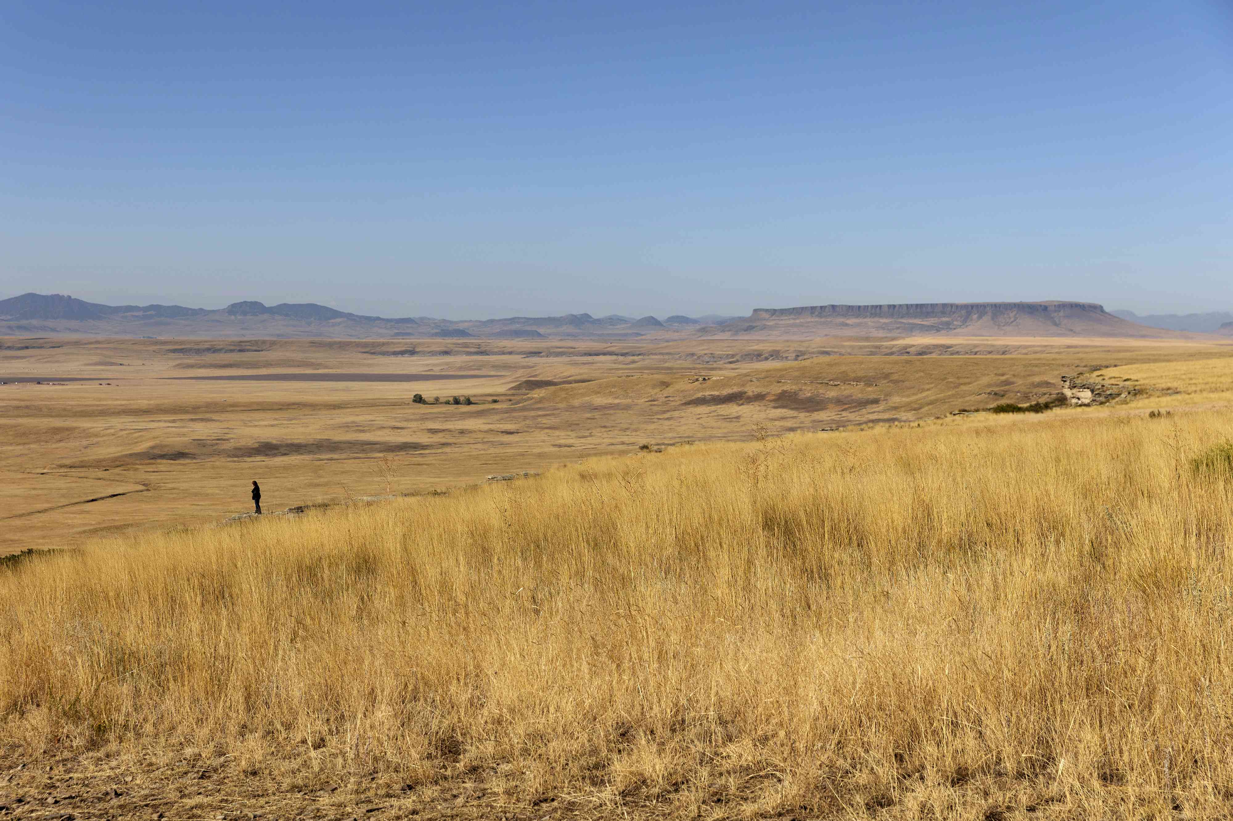 I Ate My Way Through Montana's Cattle Country—and Found the Perfect Steak
