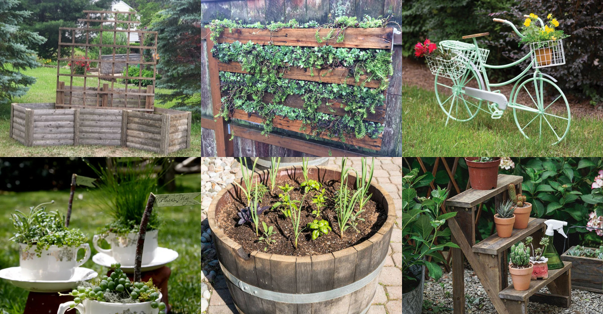 The Northern Native Tribe That Never Gave Up