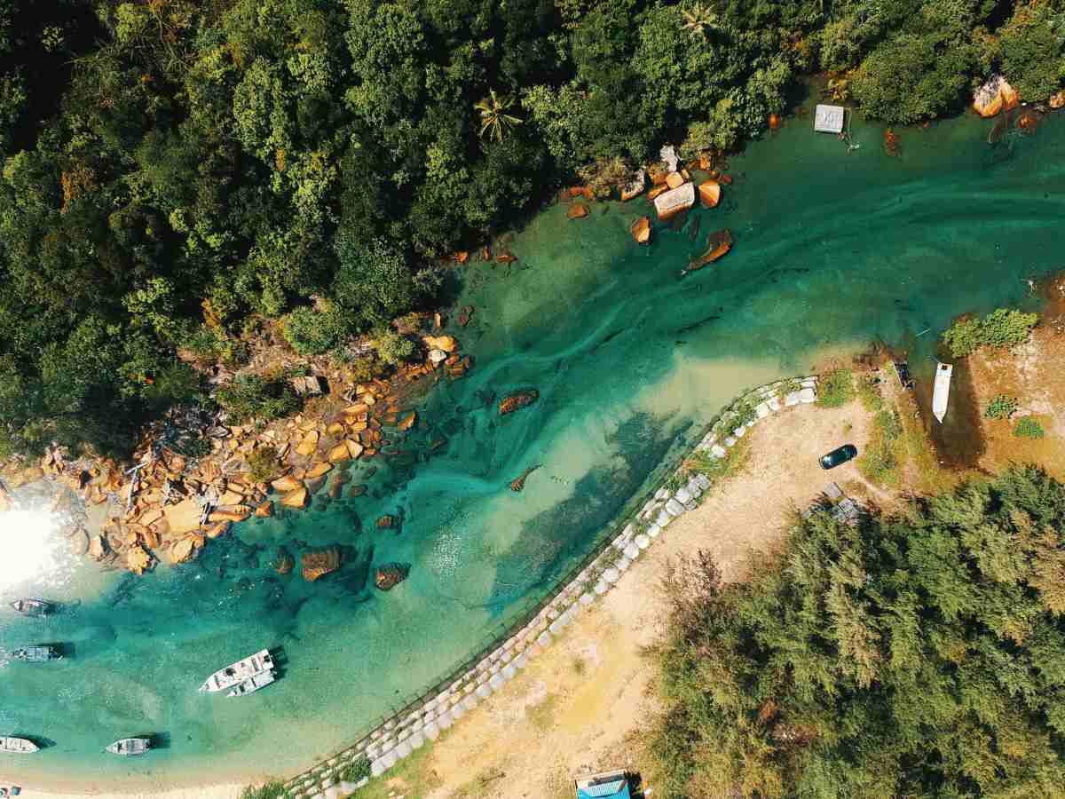 Top 5 Most Beautiful Rivers In Tamil Nadu You Must Visit