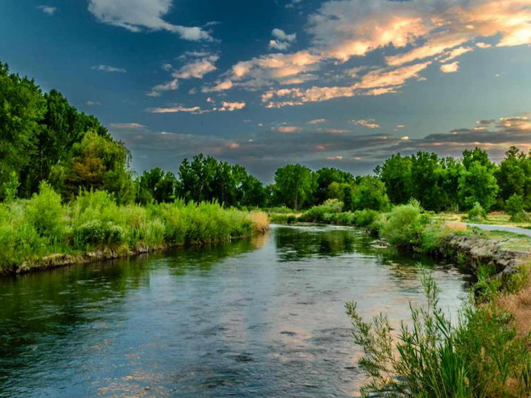 Top 5 Most Beautiful Rivers In Tamil Nadu You Must Visit