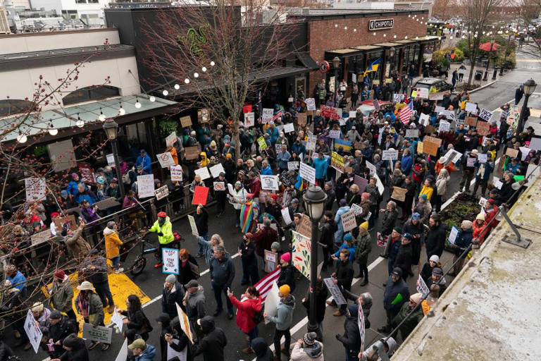 Hundreds protest Tesla showrooms over Musk’s DOGE work