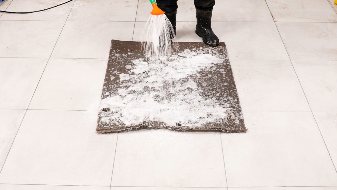 Turn Dirty Rug into Brand New