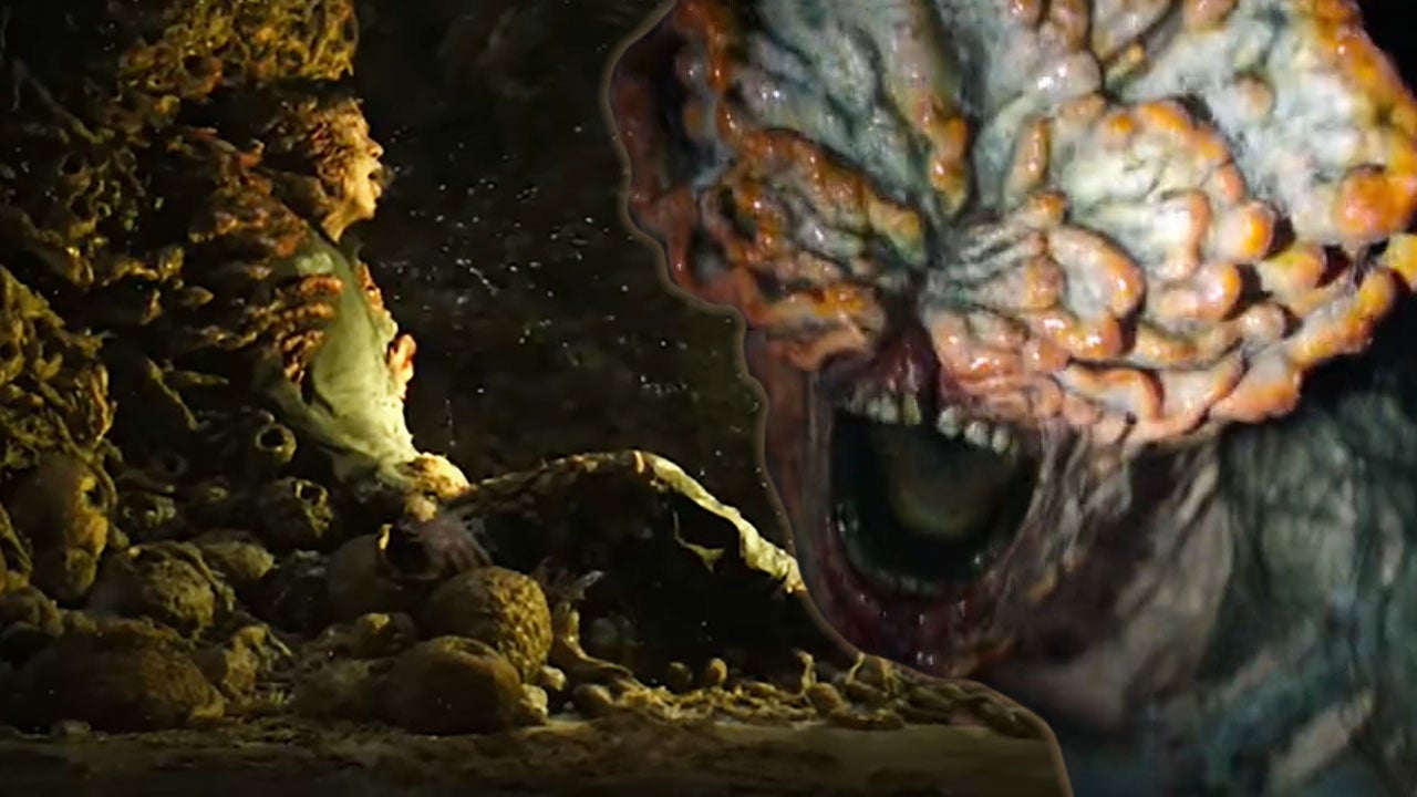 3 motivos para os esporos estarem presentes na 2ª temporada de The Last ...