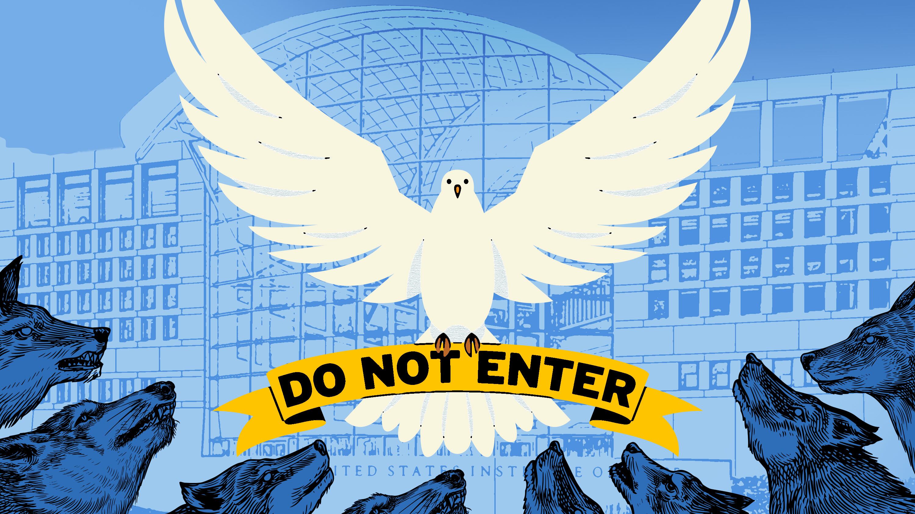 US Peace Institute Goes to War With DOGE