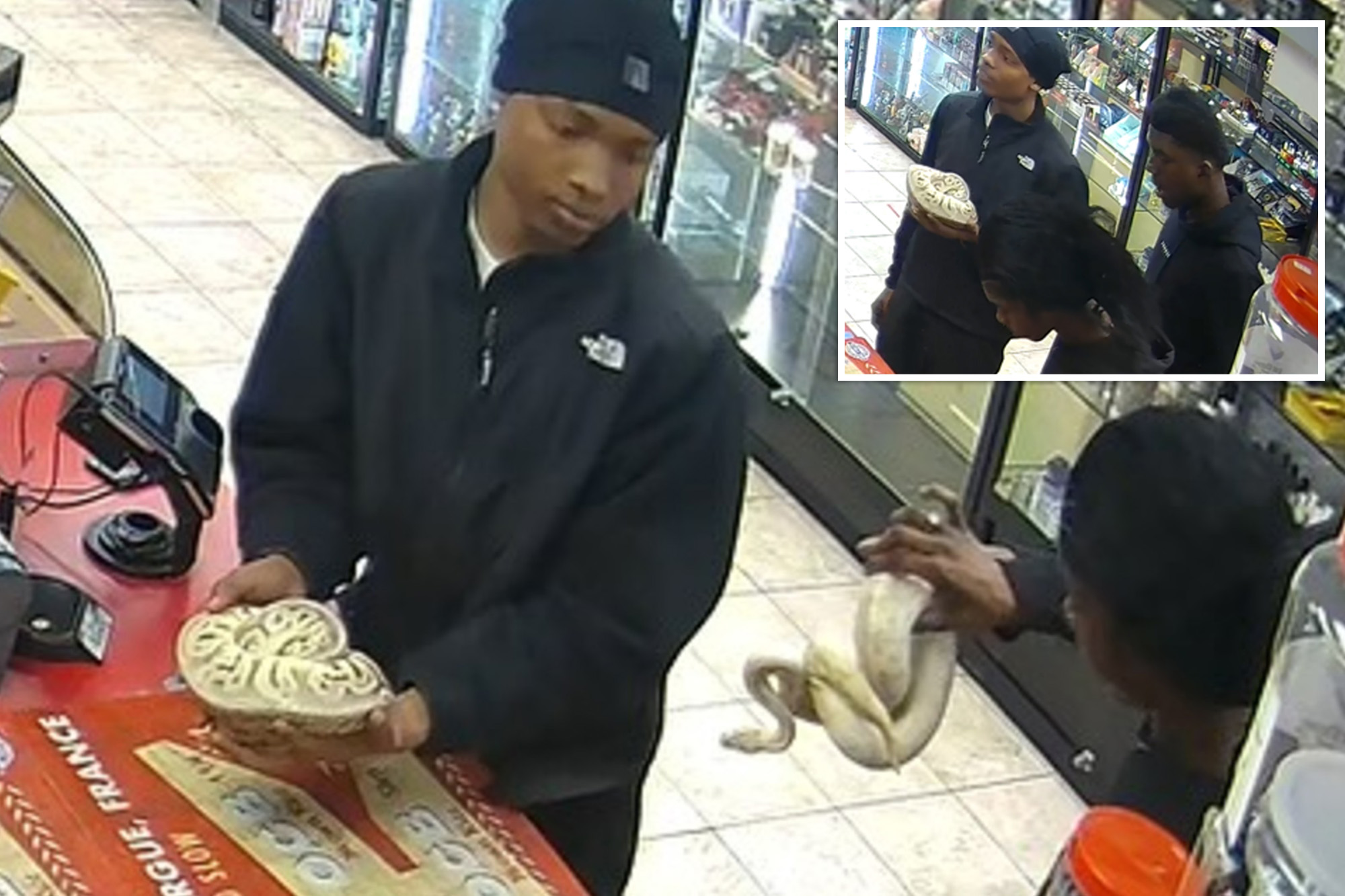 Crooks rob convenience store armed with pythons in goofy cannabis oil ...