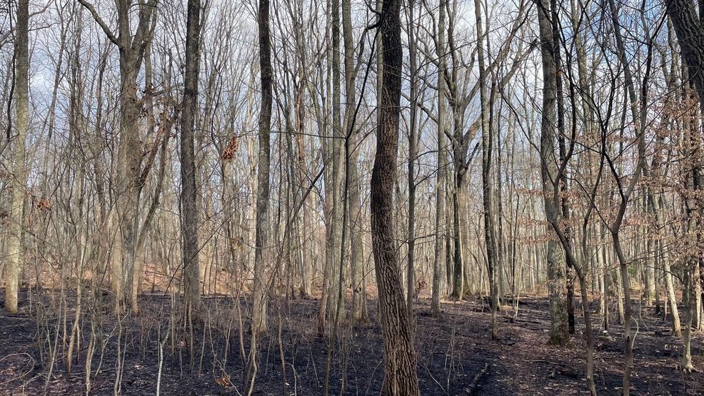 Johnson City firefighters contain Buffalo Mountain wildfire after three ...