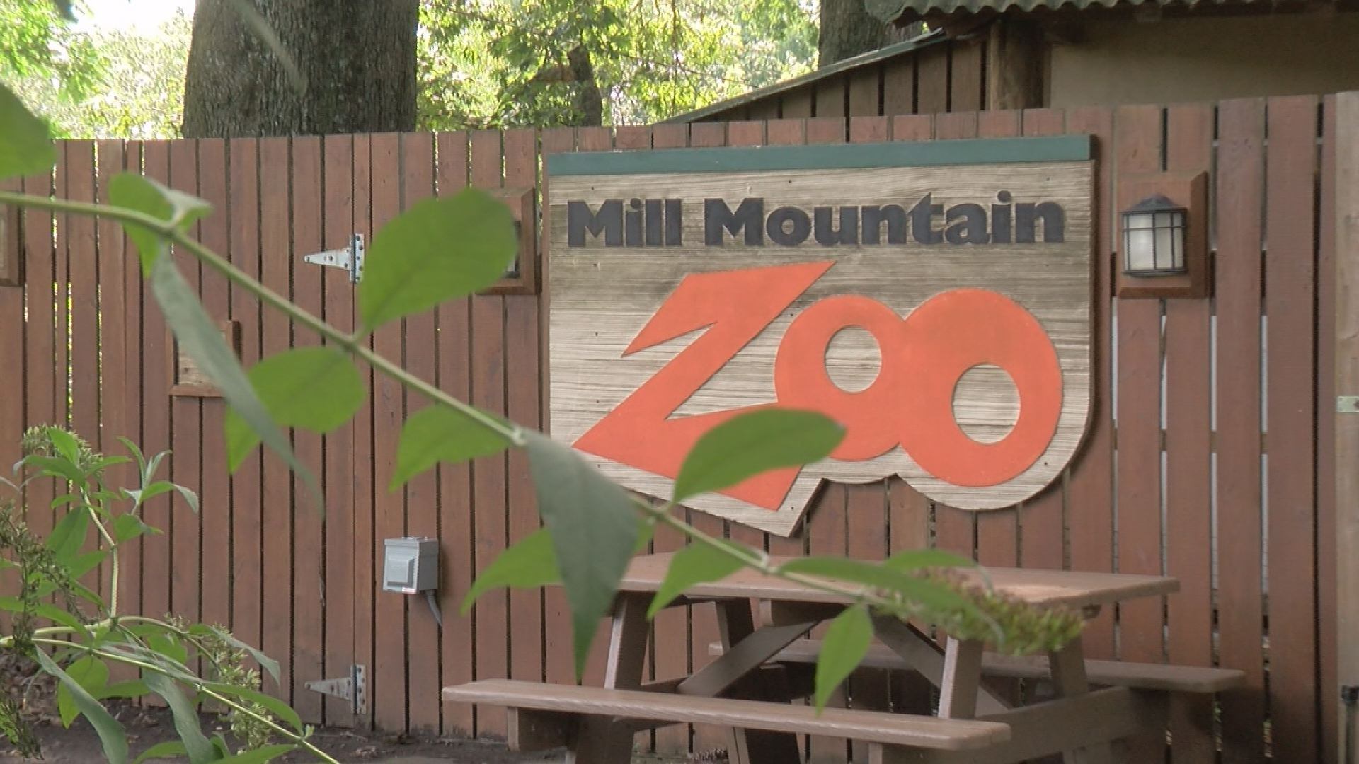 Mill Mountain Zoo reopens after winter storm cleanup
