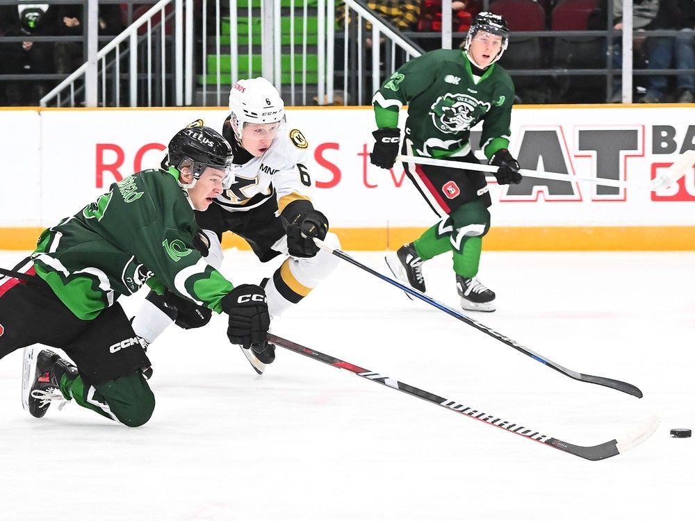 How five goals over a long season could factor into Ottawa 67's post ...