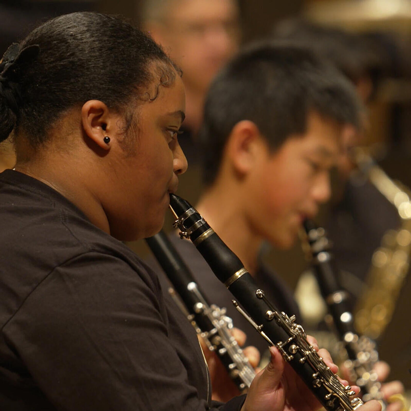 Equity Arc Wind Symphony: The full concert