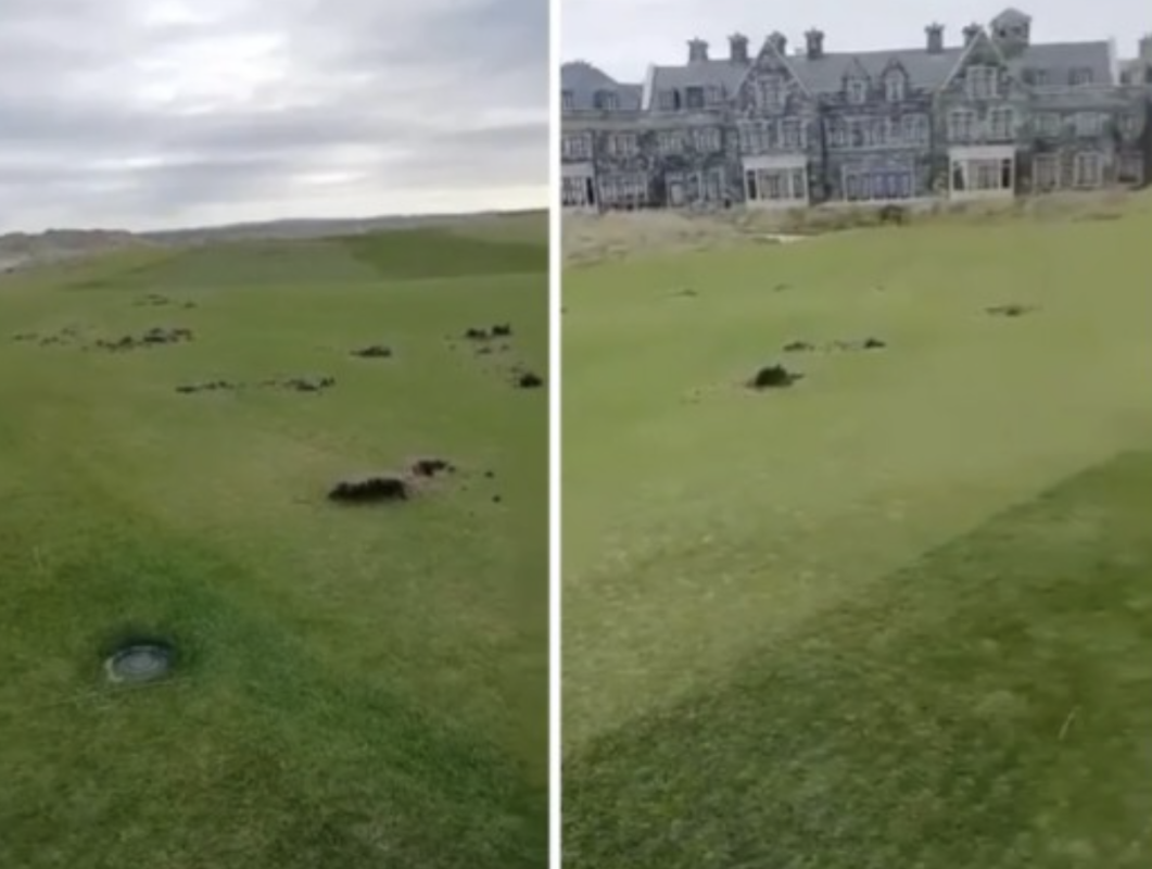 'Tragic' Photo Of President Trump's Damaged Golf Course Goes Viral
