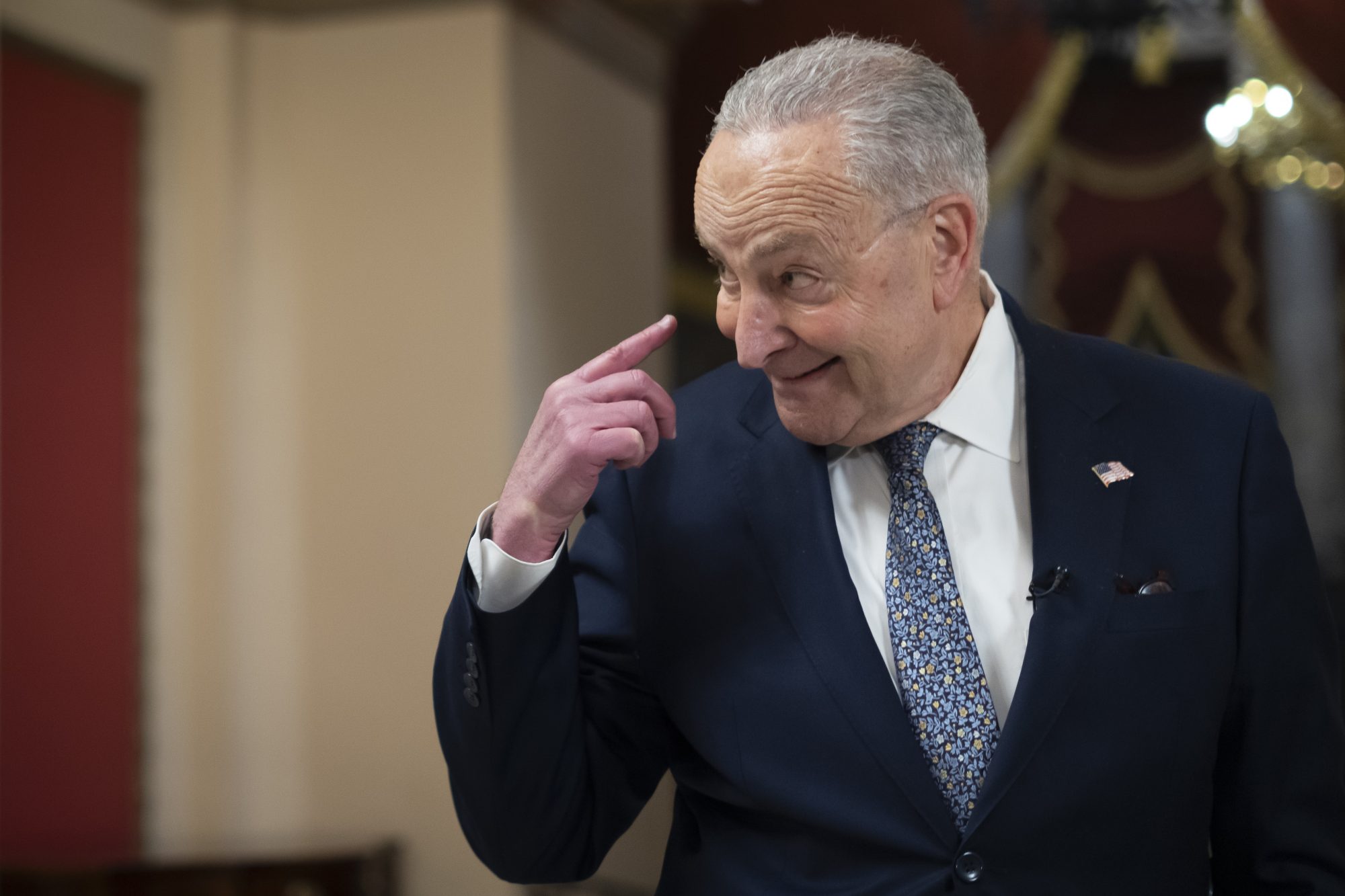 Chuck Schumer did right by America AND the Democratic Party in keeping ...