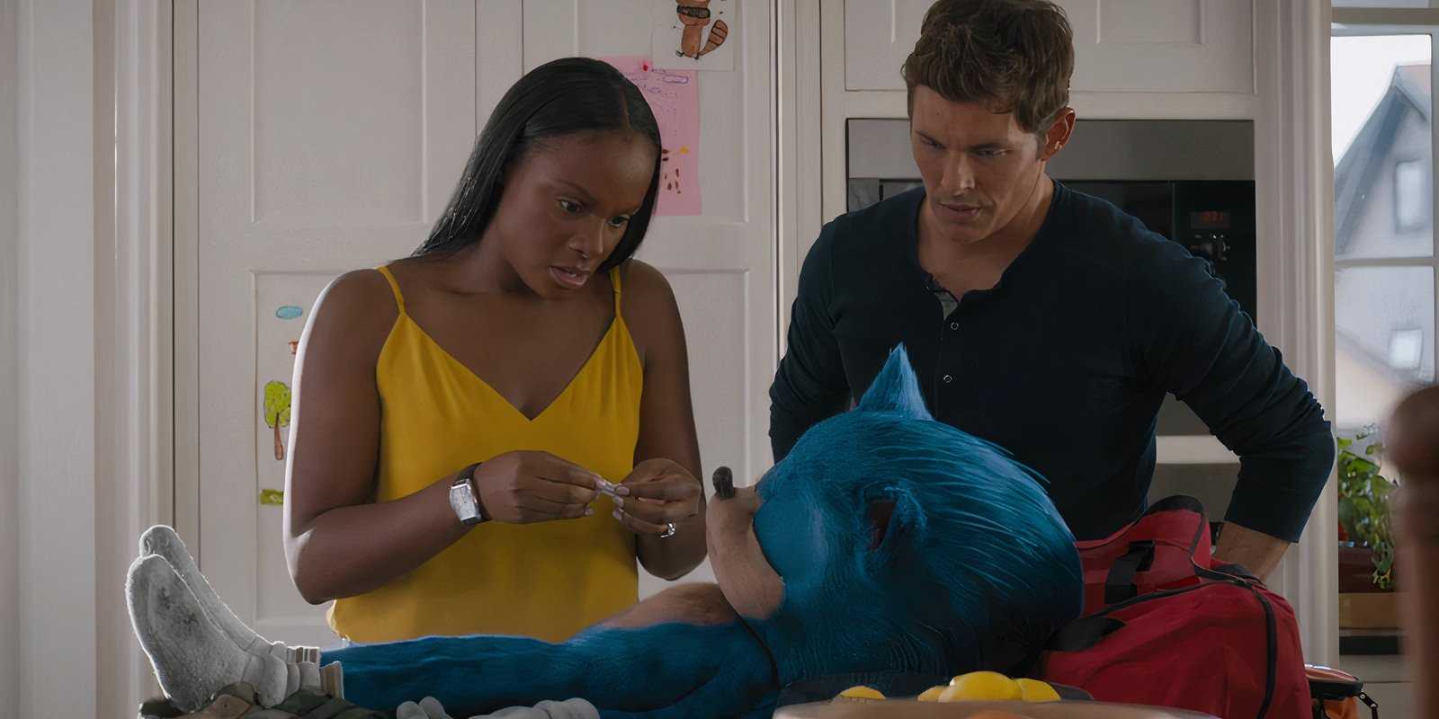 Amy Rose's Role In Sonic The Hedgehog 4 Could Completely Change A Key ...