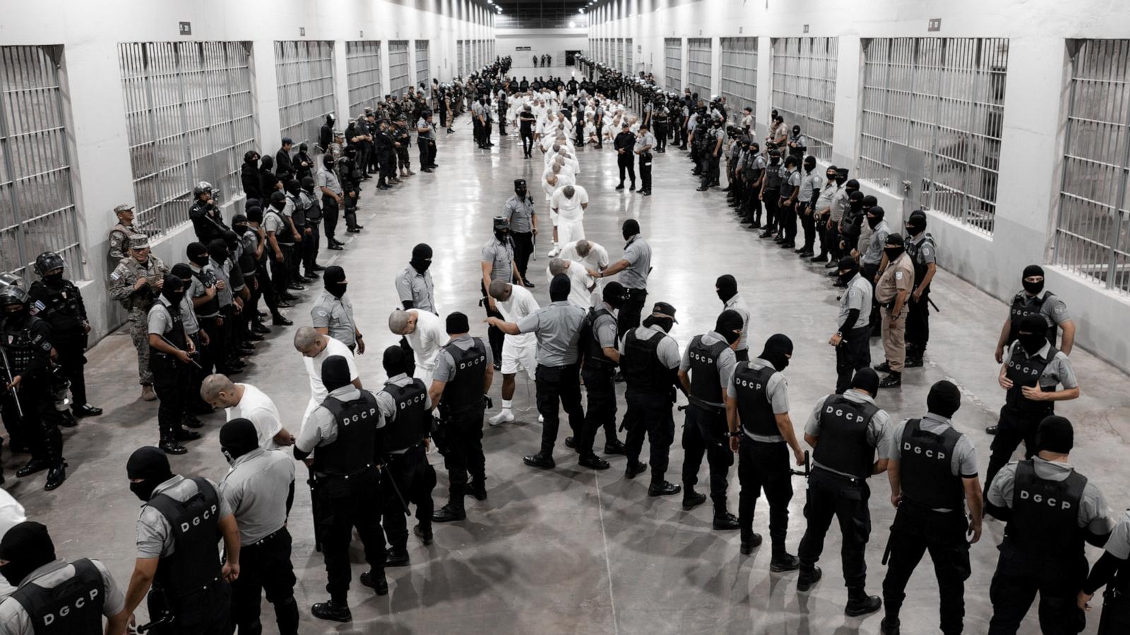 Trump admin live updates: White House asks court to stay deportation ...