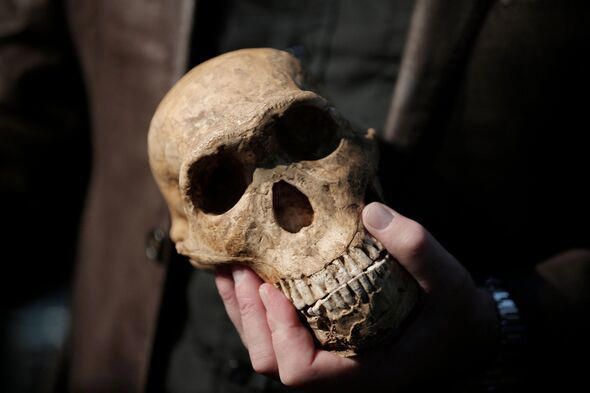 Archaeologists in stunning discovery of 250,000-year-old human in ...