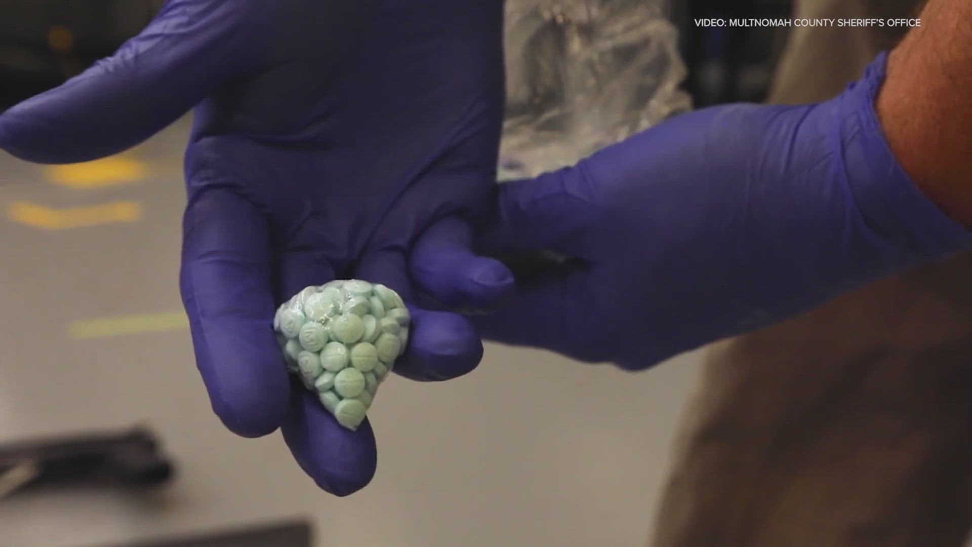 U.S. Senate passes the HALT Fentanyl Act