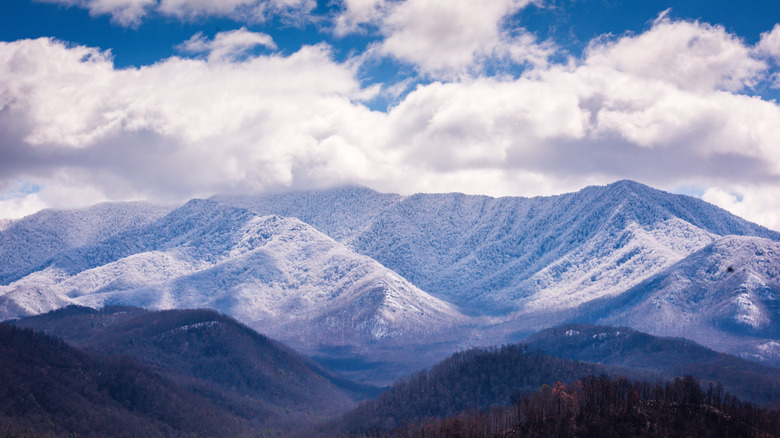 Situated In The Heart Of The Smokies Is Tennessee's Second-Tallest ...