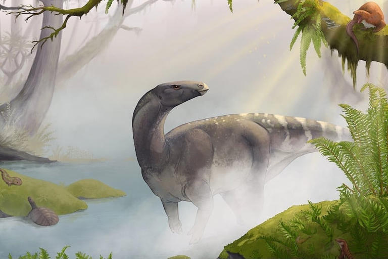 Oldest Ornithischian Dinosaur fossil found in Morocco