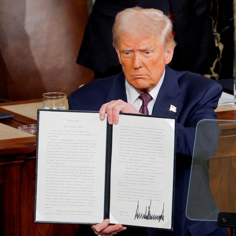 „Alien Enemies Act“ von 1798: Trump beruft sich für Abschiebungen auf ...