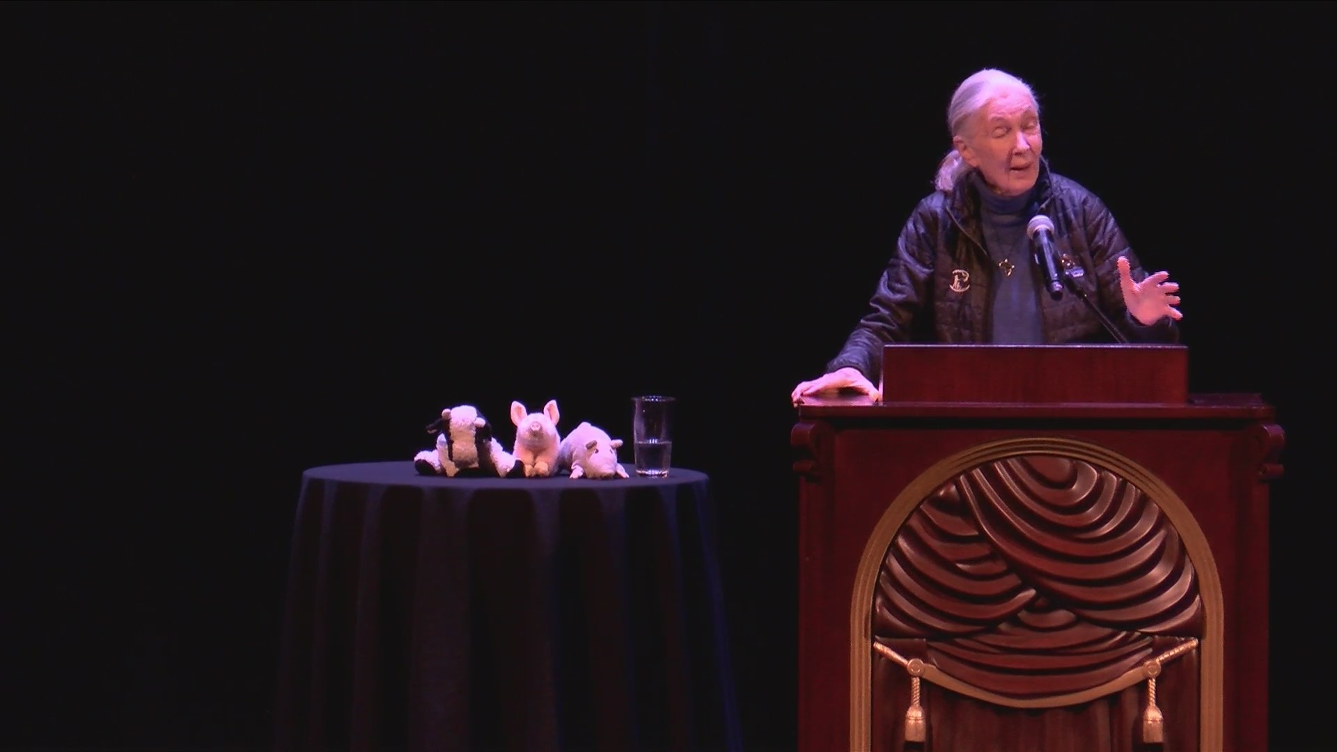 Dr. Jane Goodall Talks Conservation Efforts