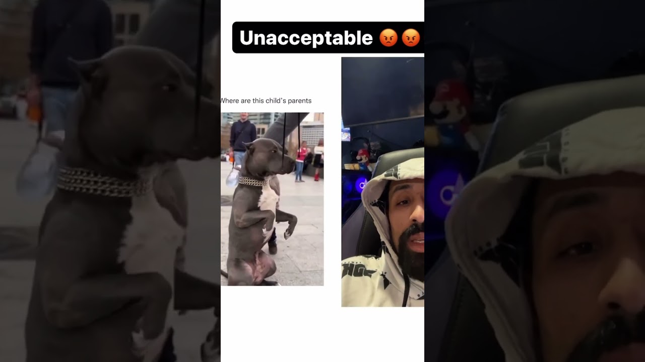 Kid shows unacceptable behavior toward a family dog